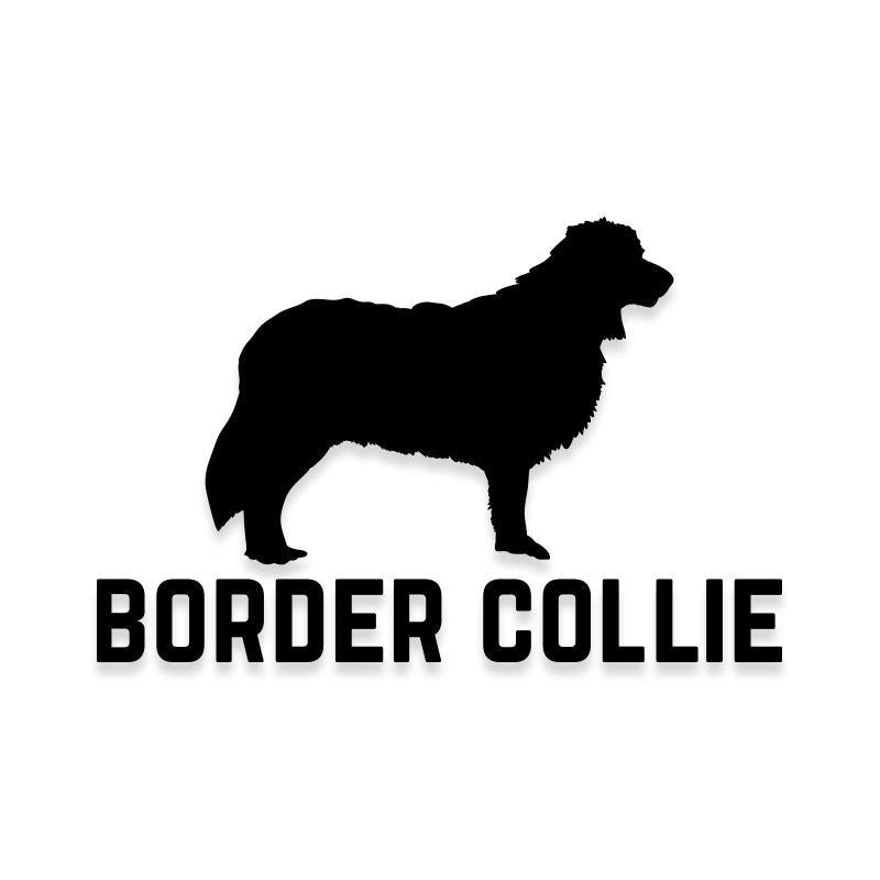 Border Collie Car Dog for Windows Vinyl Decal Sticker - DecalChimp