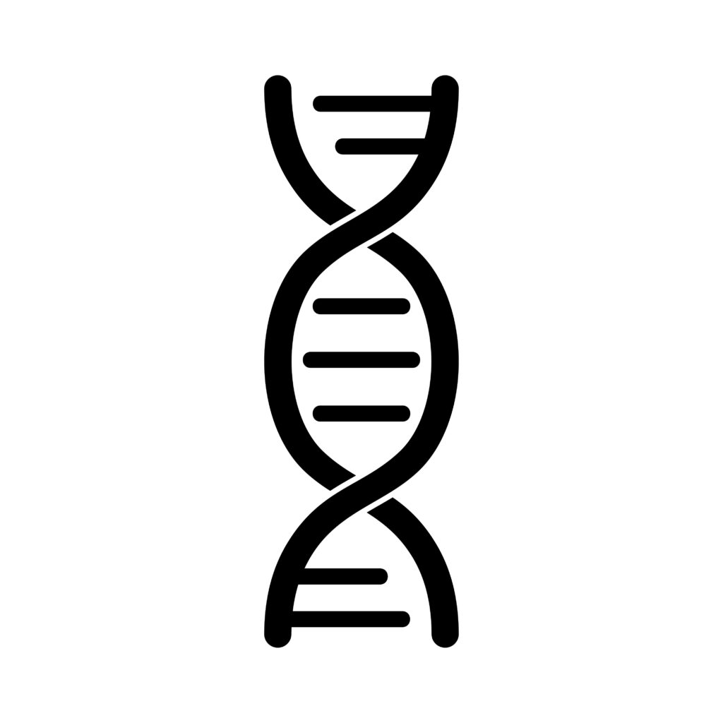 Dna Vinyl Decal Sticker - DecalChimp
