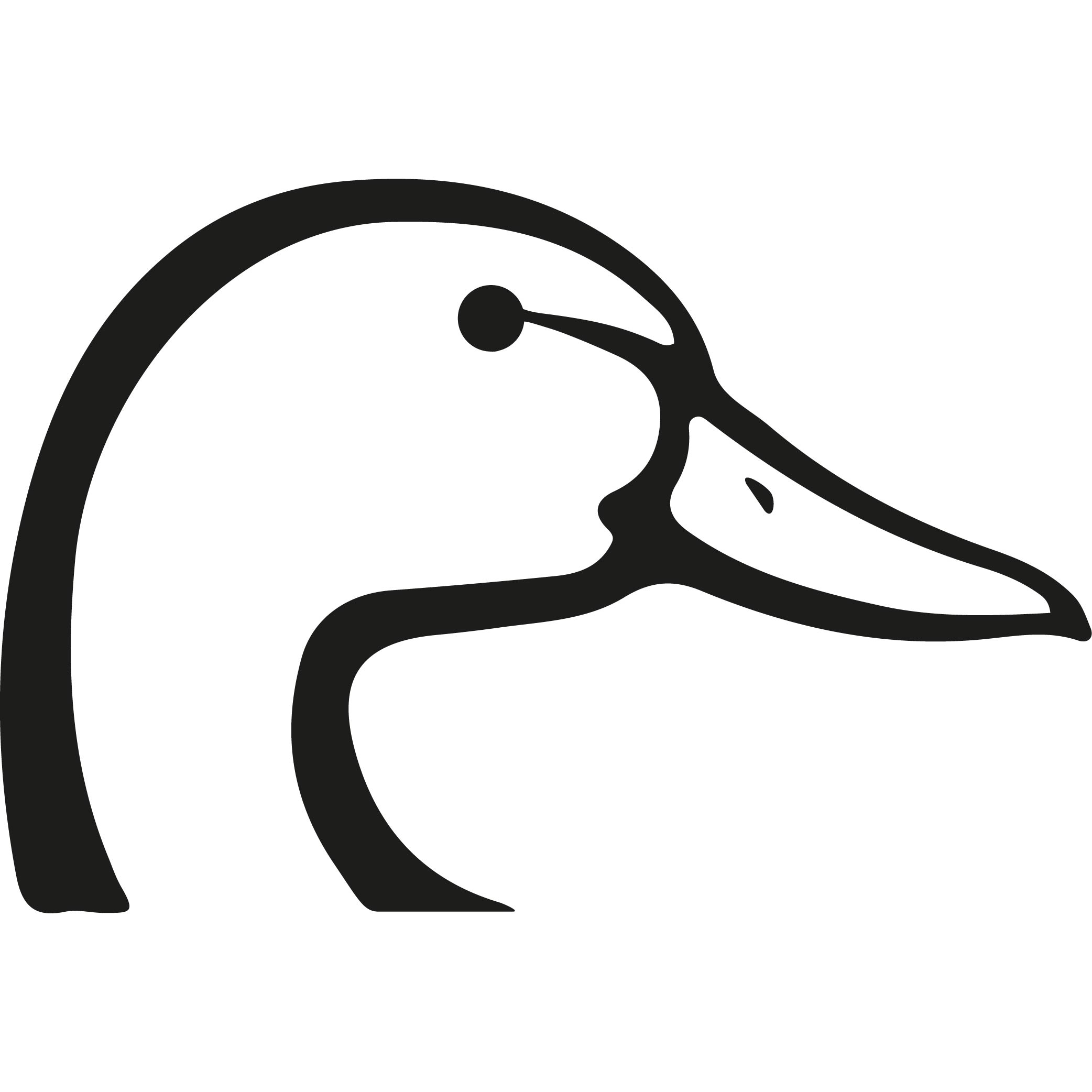 Ducks Unlimited Logo The New Times Events Ducks Unlimited De Mexico